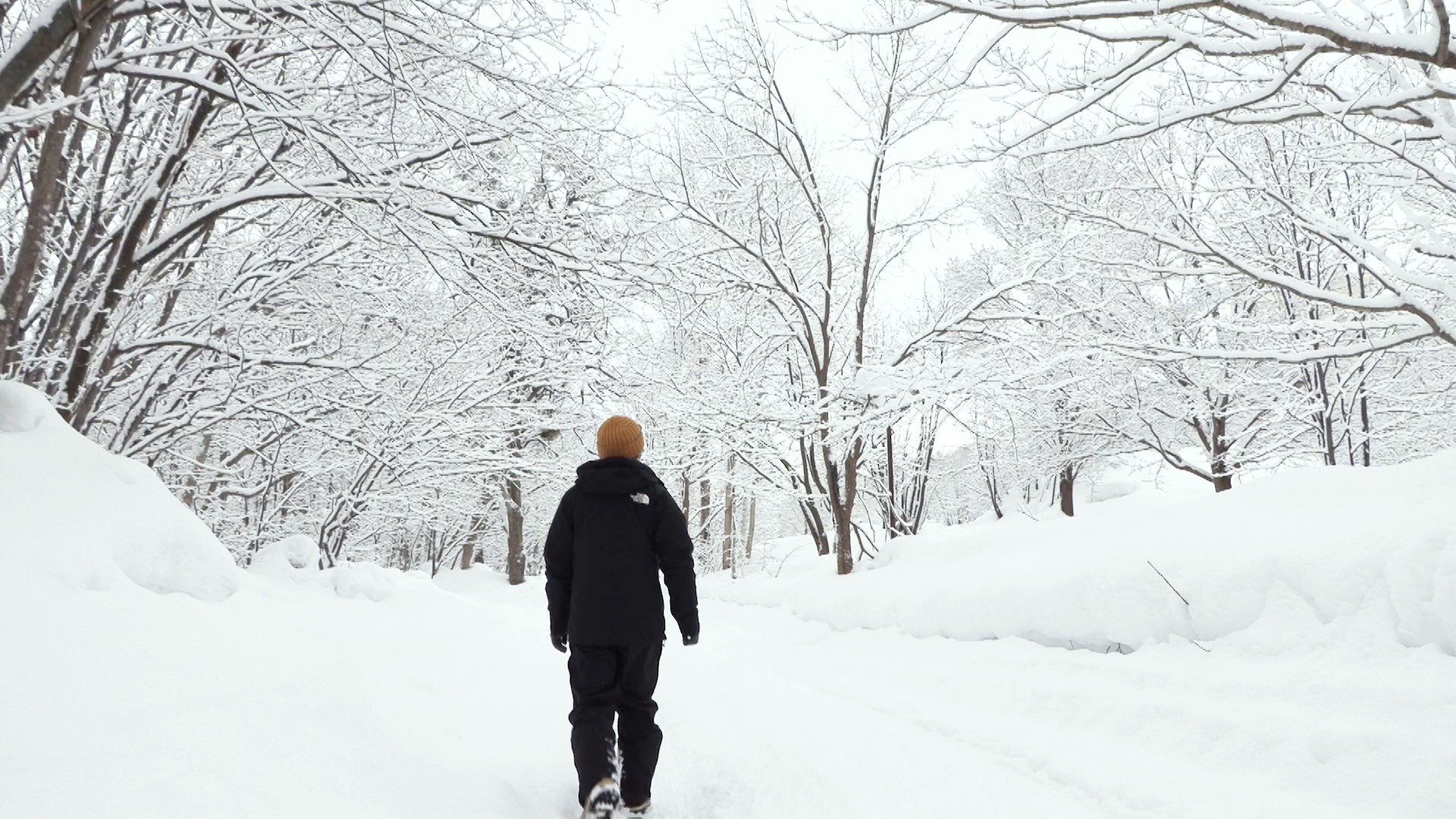 鈴木俊貴 Toshitaka Suzuki (@toshitaka_szk) / Twitter