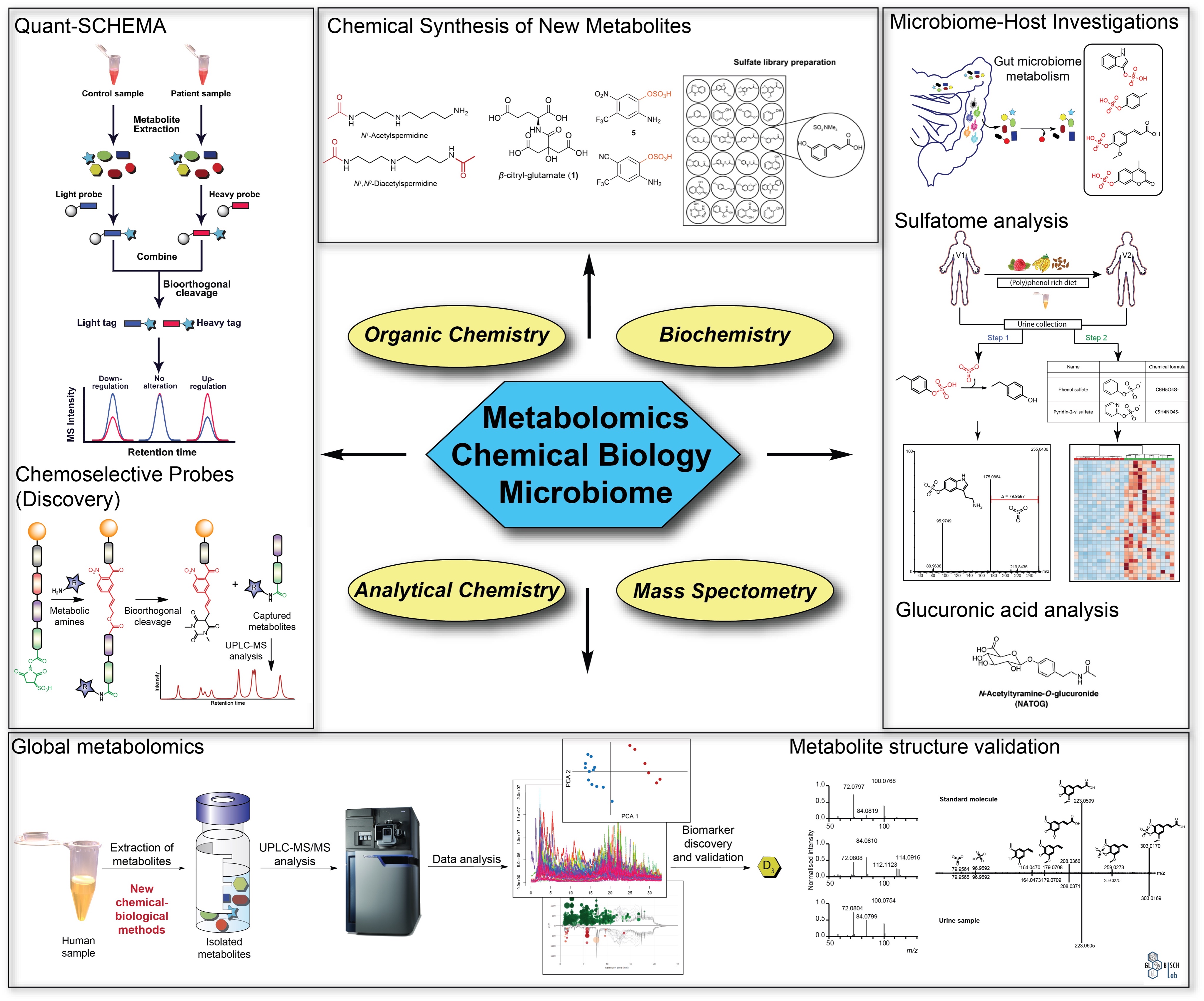 Globisch Lab on Twitter: "Interested in mass spectrometric chemical ...
