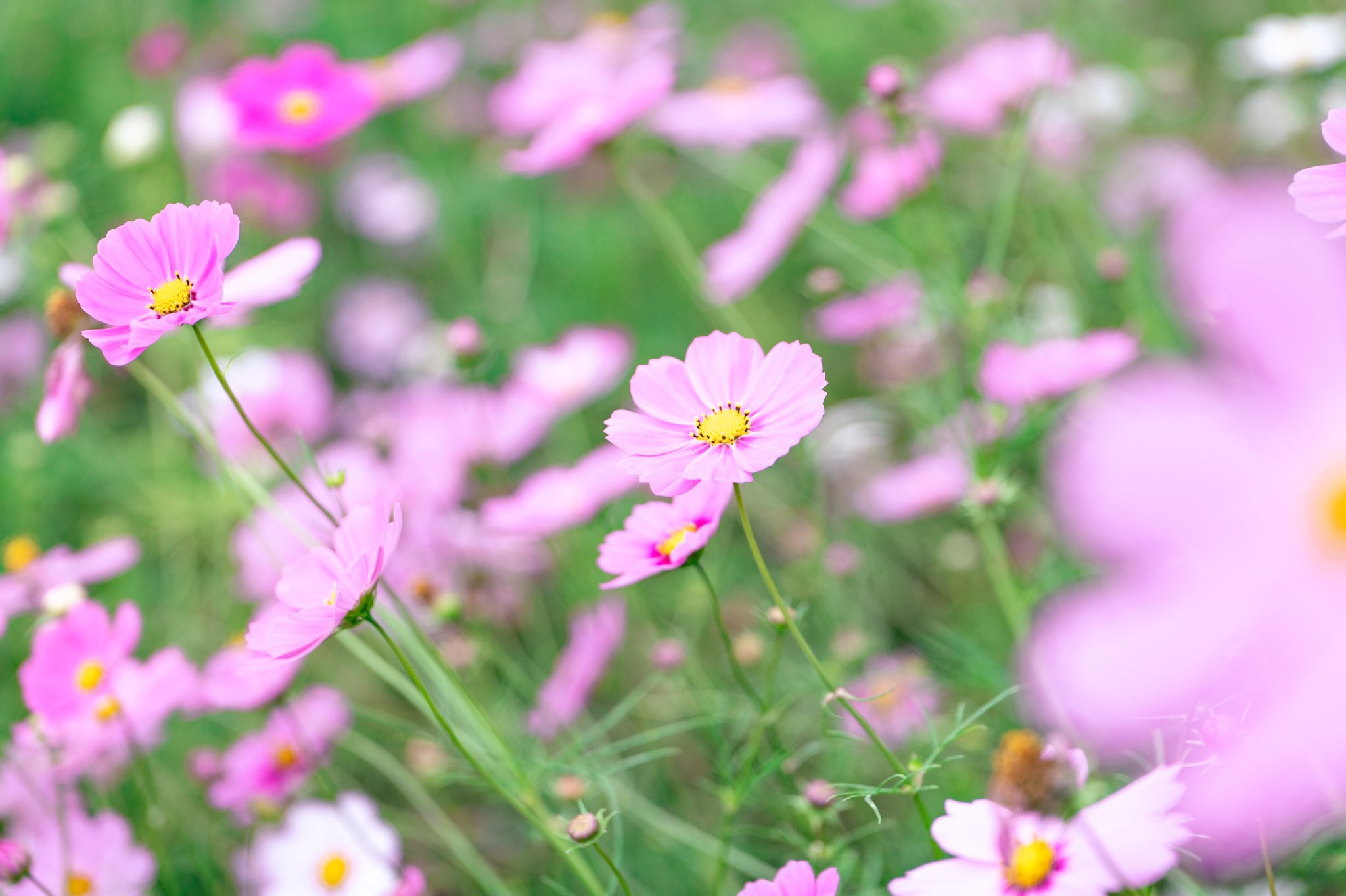 yuya (@yuya0240) / Twitter