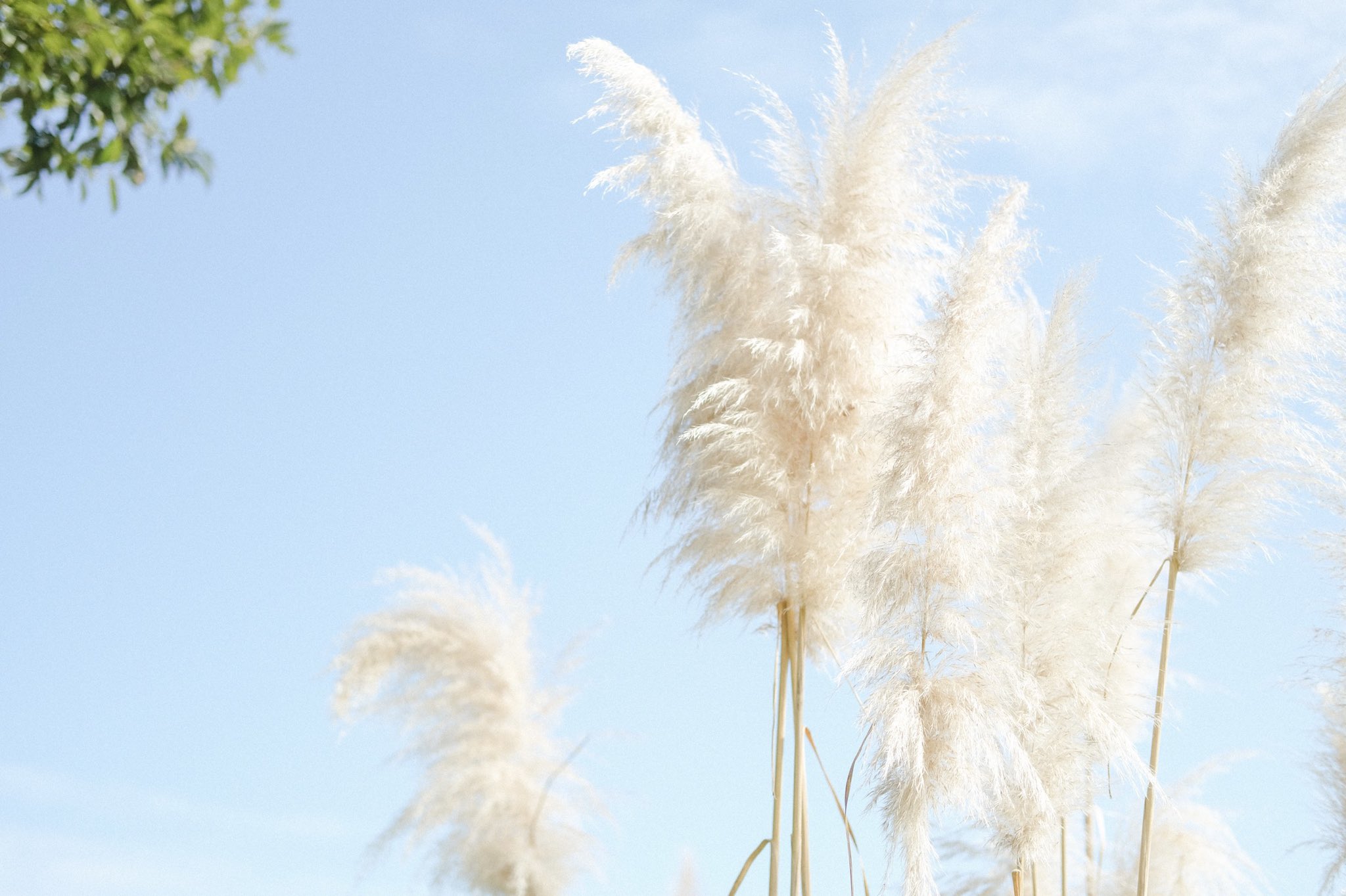 yuya (@yuya0240) / Twitter