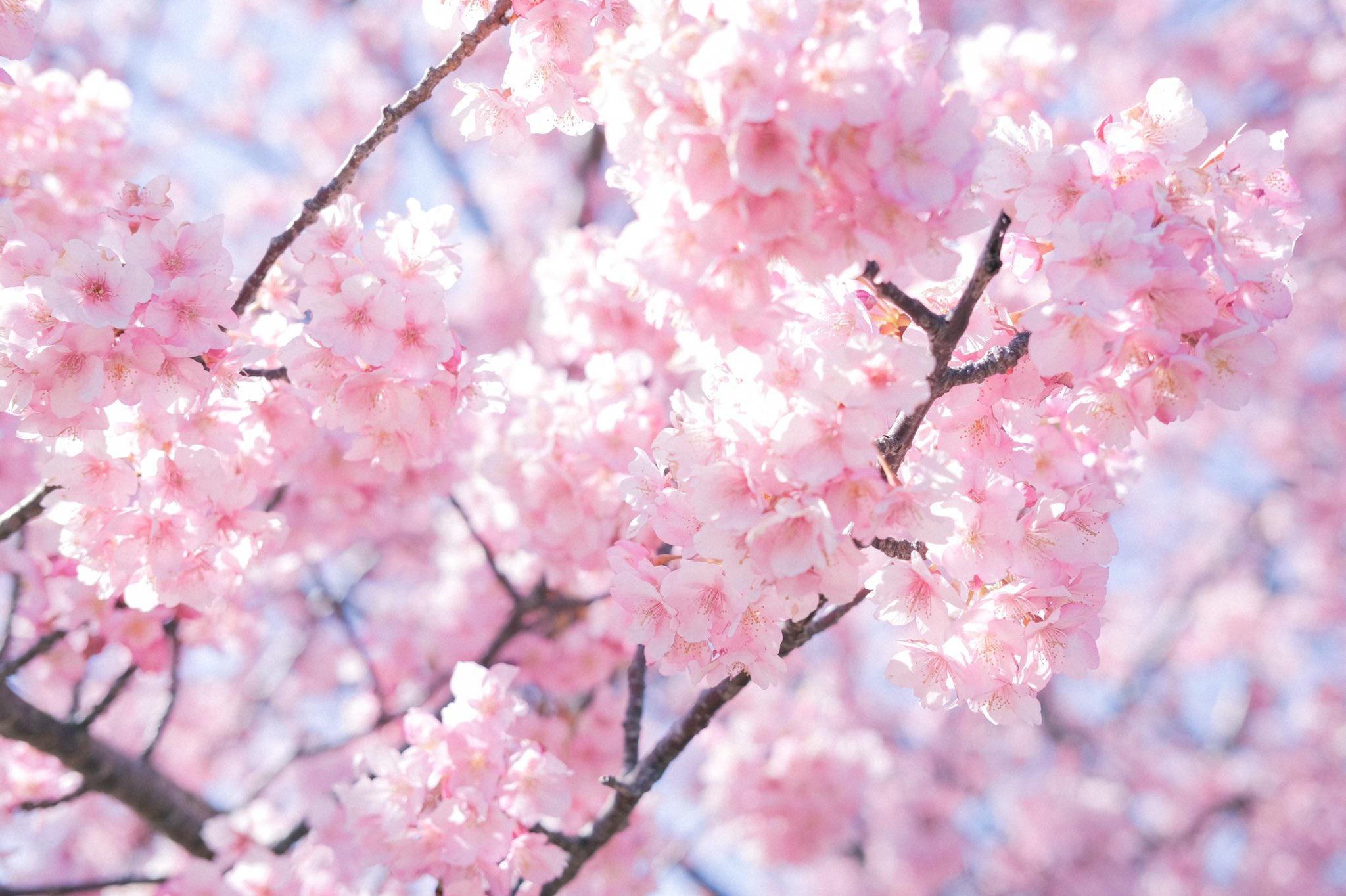 yuya (@yuya0240) / Twitter