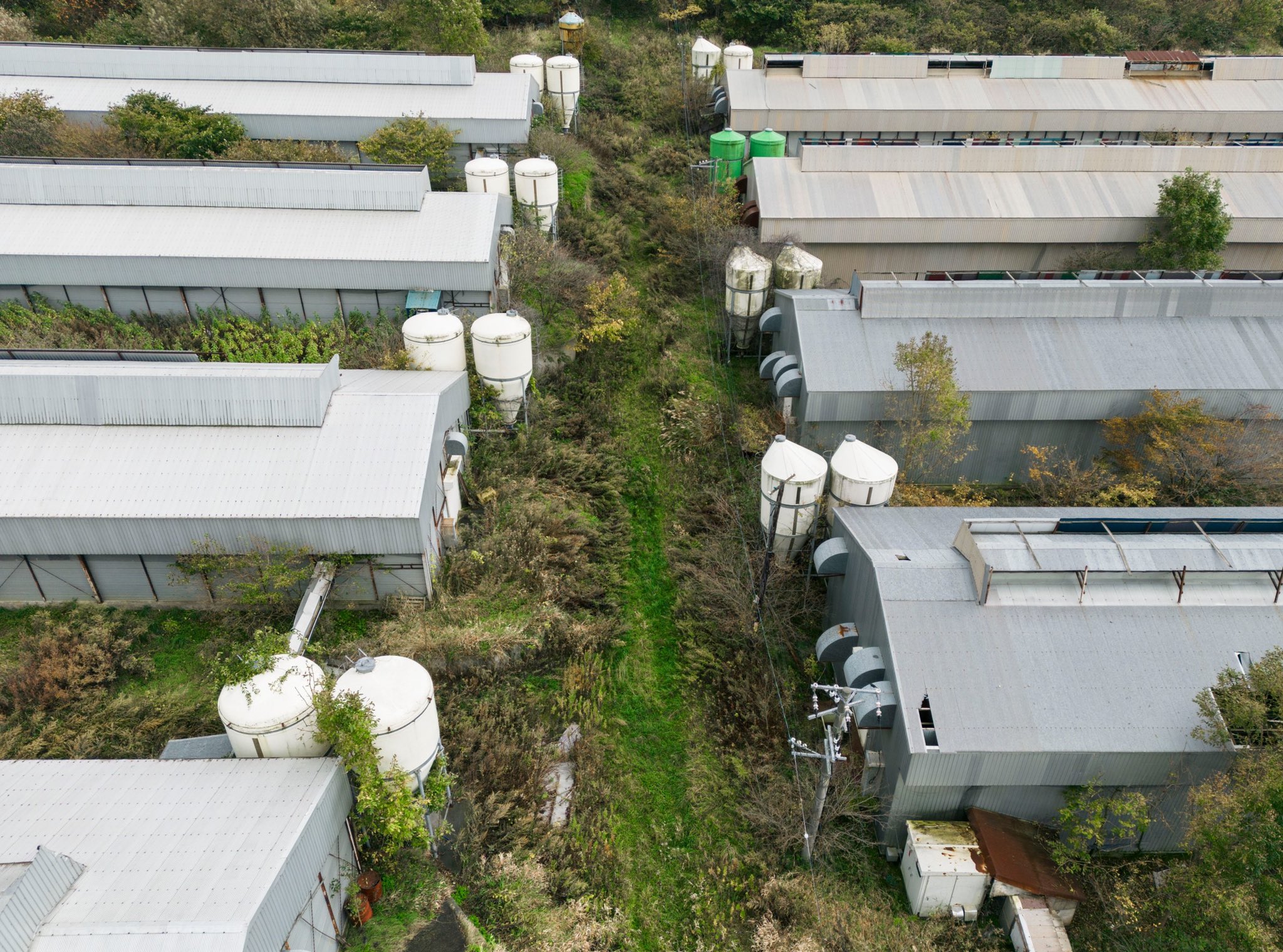 メジロオダチェンコ (Oдaченко) (@sodatschko) / Twitter