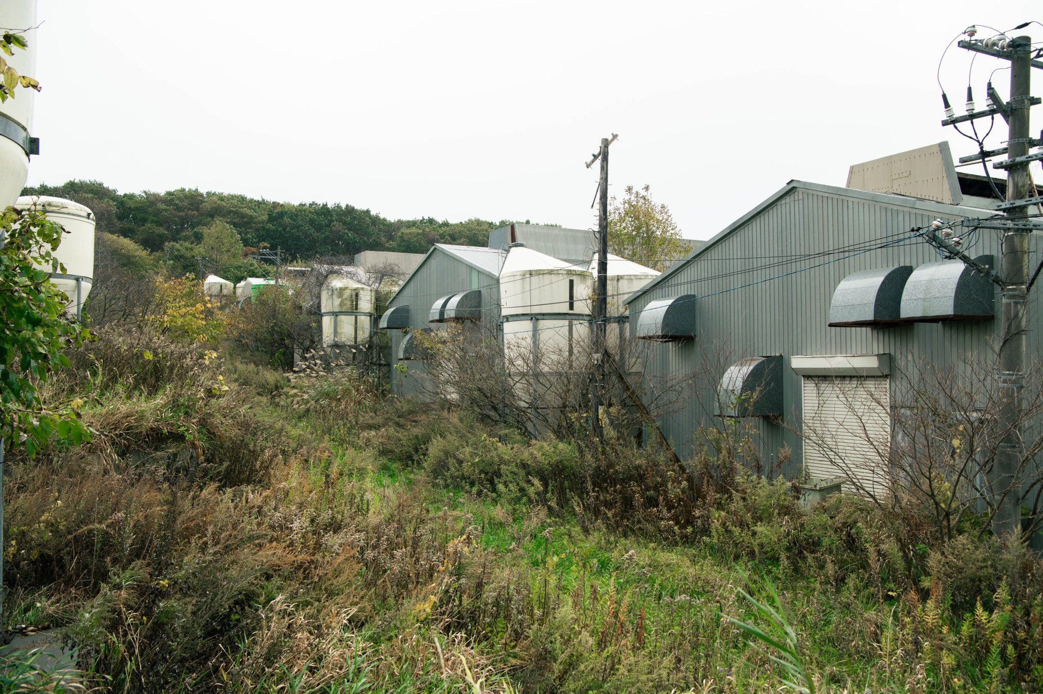 メジロオダチェンコ (Oдaченко) (@sodatschko) / Twitter