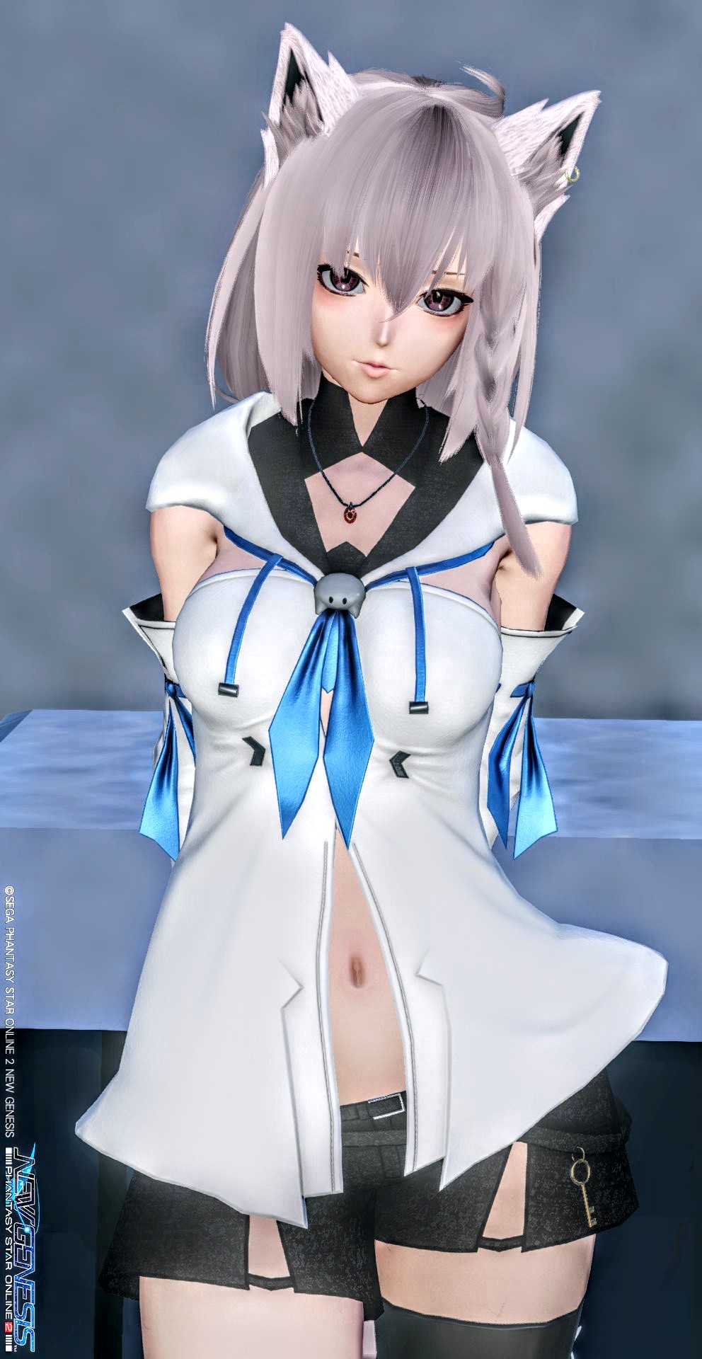 RECO on Twitter: "#PSO2NGS_SS https://t.co/Q70HhkmB20" / Twitter