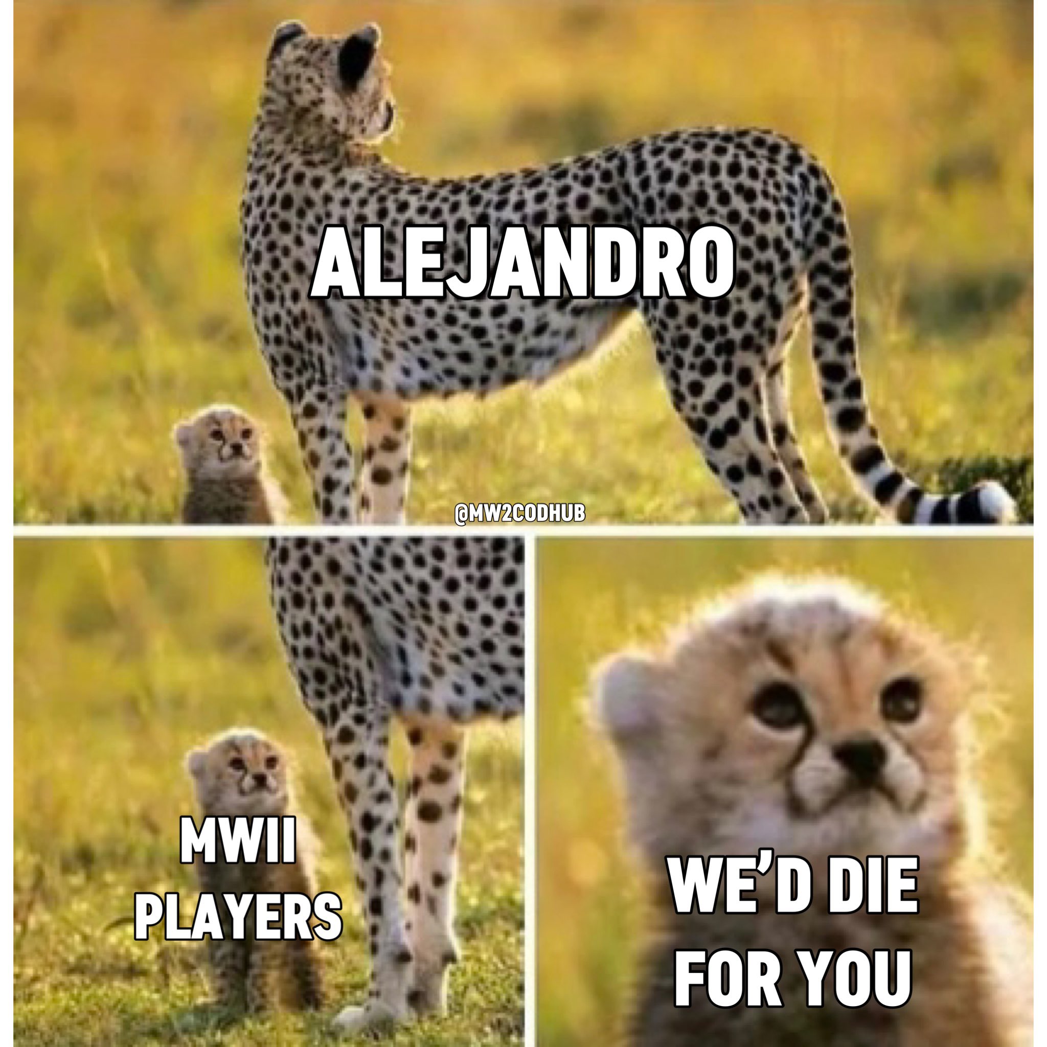 Alejandro Meme