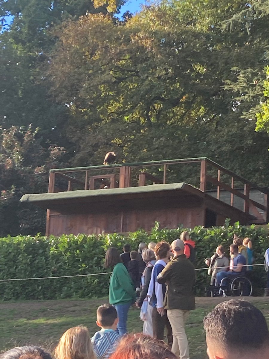 Welcome to Harris Clapham Sixth Form