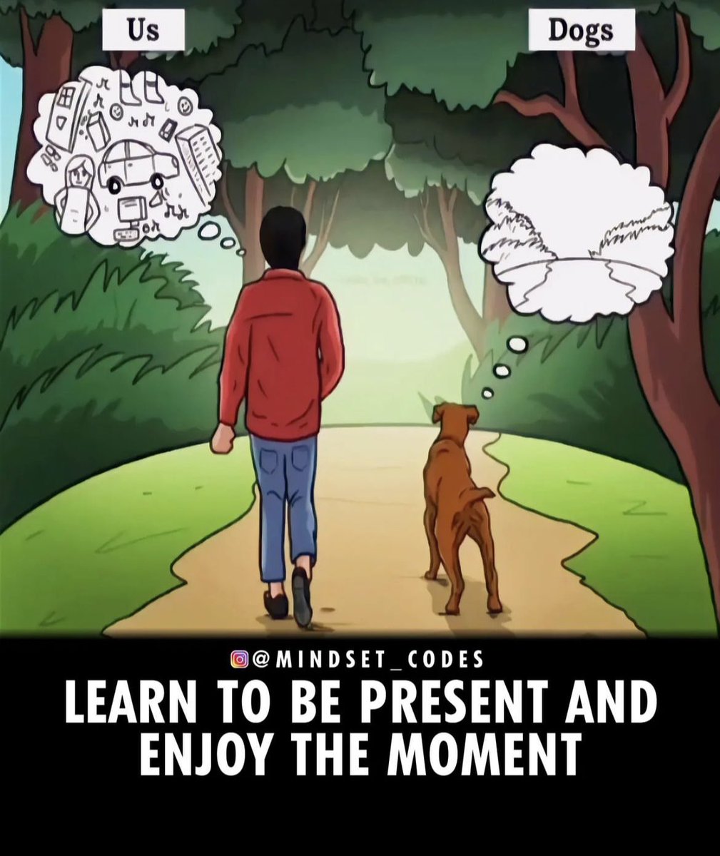 10 Powerful visuals on life and psychology: 1. - Thread from Life ...