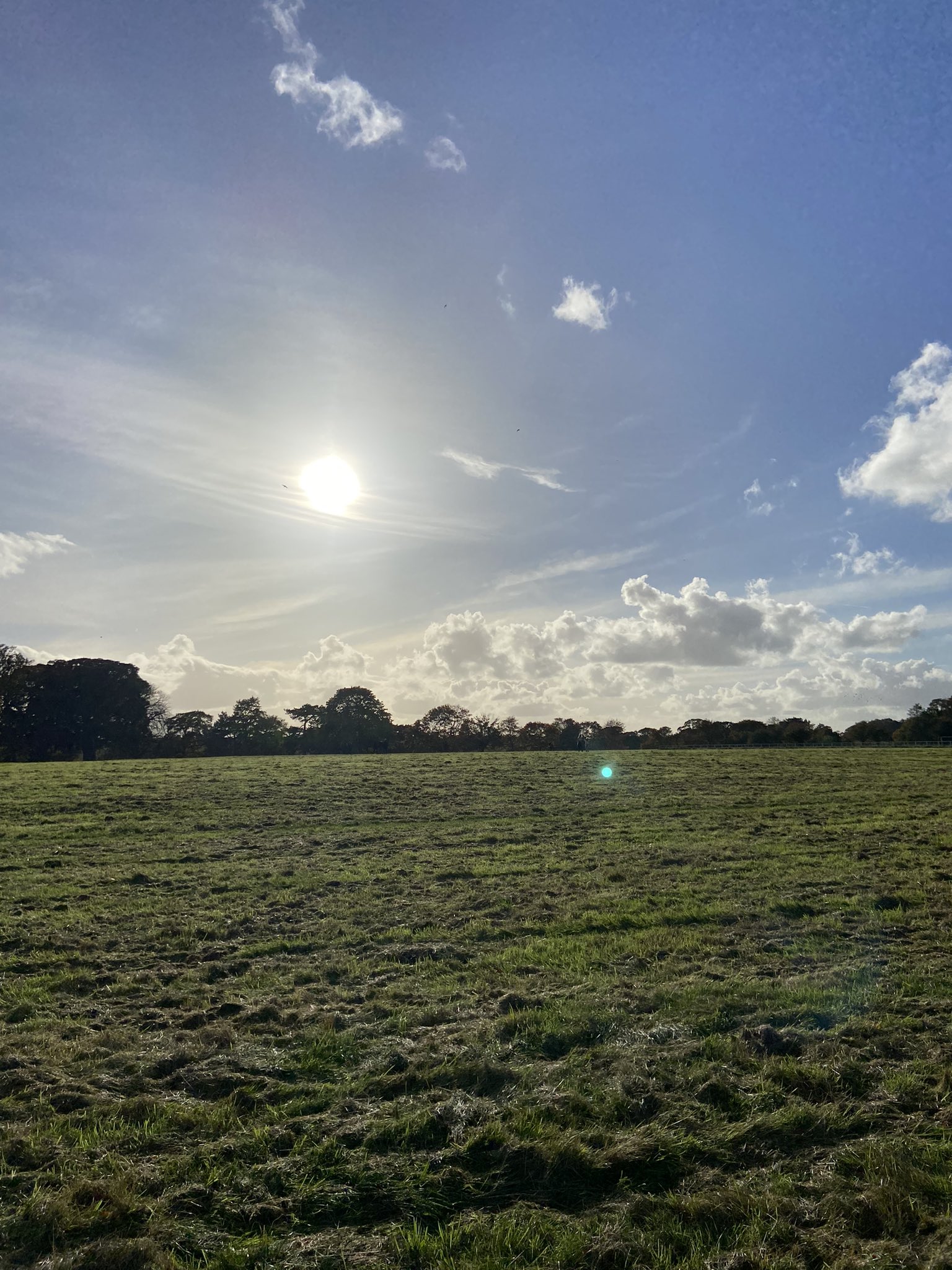 Graeme Walsh (@xprimexinverse) / Twitter