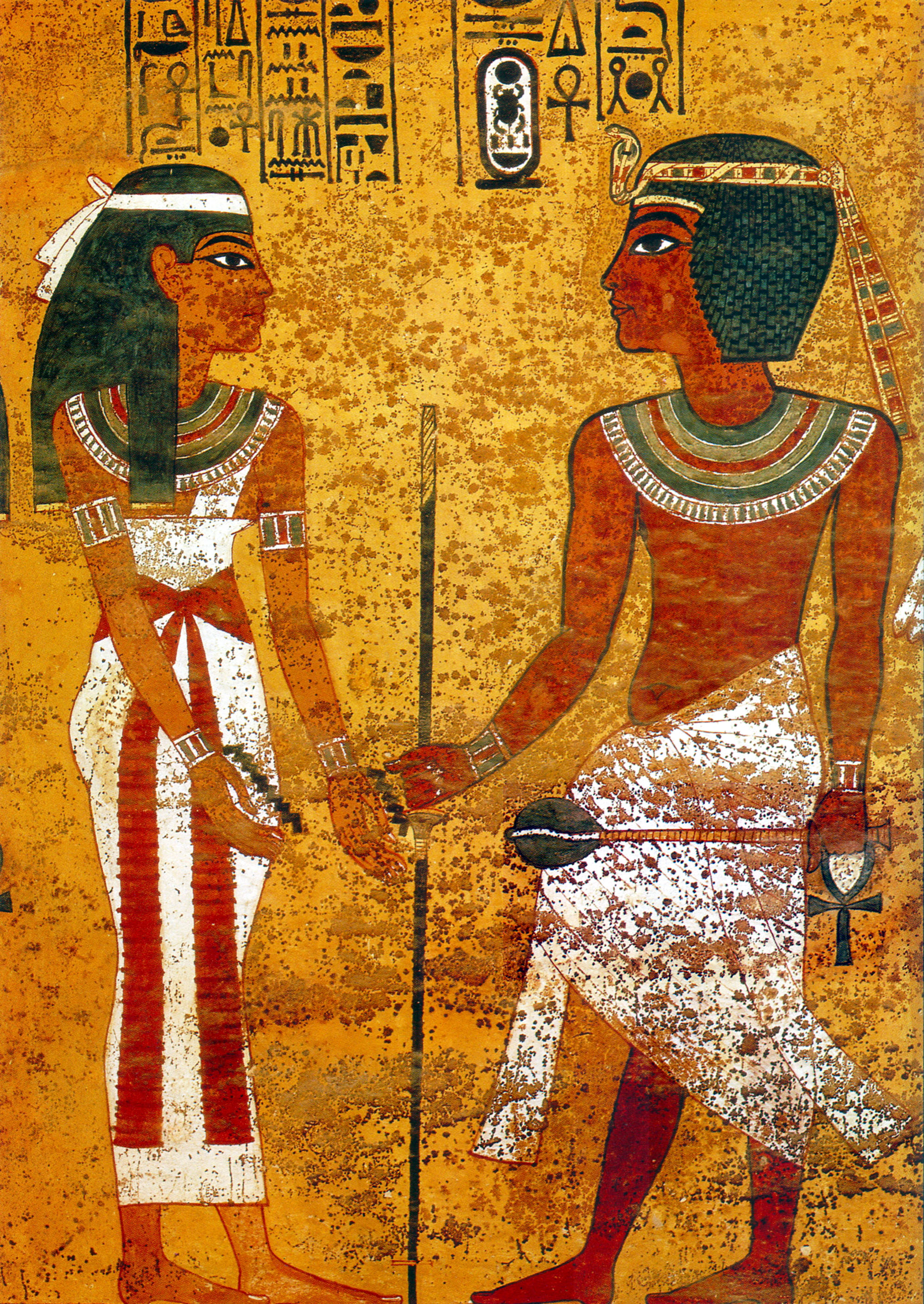 Dr. Peter J Brand on Twitter: "6/ view of the circlet https://t.co/DrZftbLcvD" / Twitter