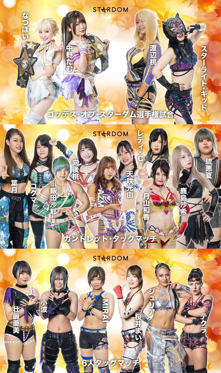 スターダム STARDOM on Twitter: "【11.3広島大会‼】 🎫チケット販売中‼ 『🌟広島女神祭り～きんさいスターダム～』 📅11月3日（木祝） 🏟️広島サンプラザホール 🔻 ...