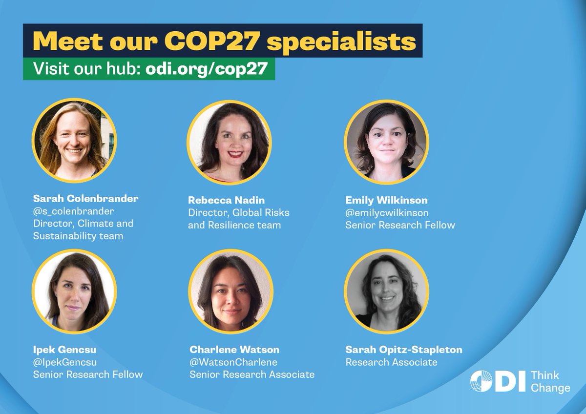 ODI on Twitter: "RT @ODIclimate: Follow our #COP27 specialists for fresh insights on the climate ...