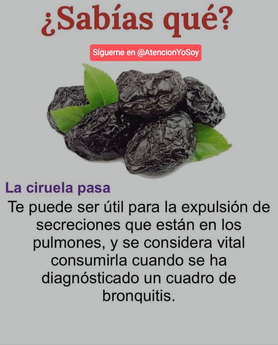 Beneficios De La Ciruela
