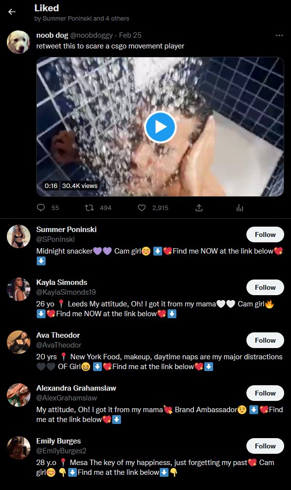 noob dog on Twitter: "What the hell type of bots are these? https://t.co/hEFNEcQhpu" / Twitter