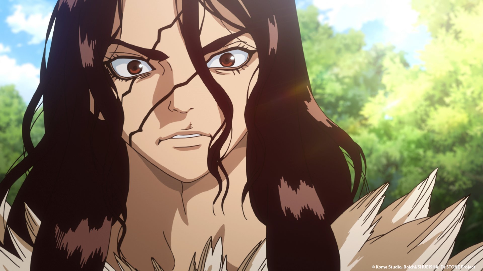 Dr. STONE EN on Twitter: "Stone scars 🪨 https://t.co/Ruyvxxf7U3" / Twitter