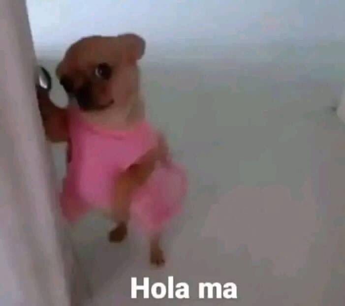 Llamadas Perdidas Memes Freddie Dredd Heresy (Sub. Español)