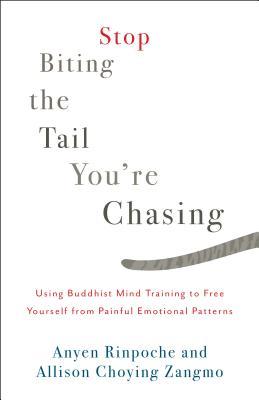 download [PDF]' Stop Biting The Tail You're Chasing: Using Buddhist Mind Training to Free ...