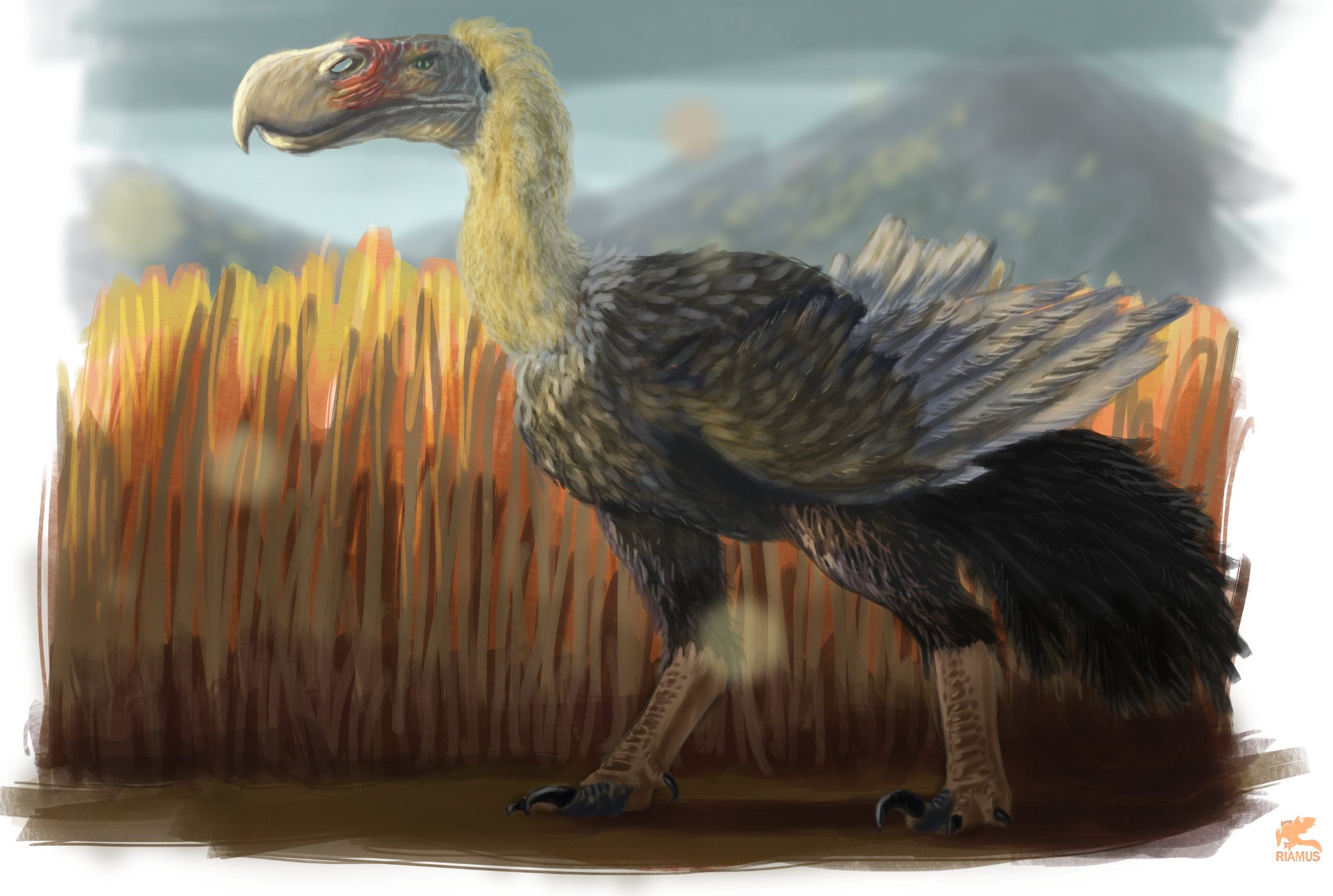 Prehistoric Terror Birds