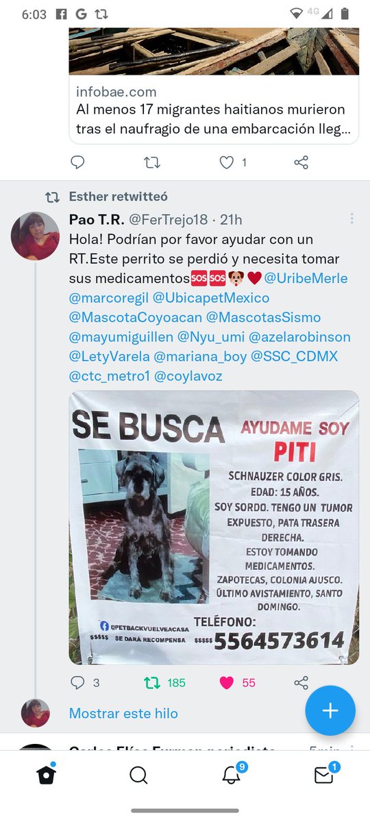 Bast on Twitter: "RT @MaraRos37411865: