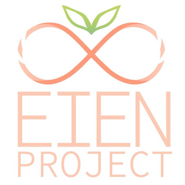 Lunsonia on Twitter: "RT @EIENproj: Hello Vtubers! We are EIEN Project, a new VTuber company ...