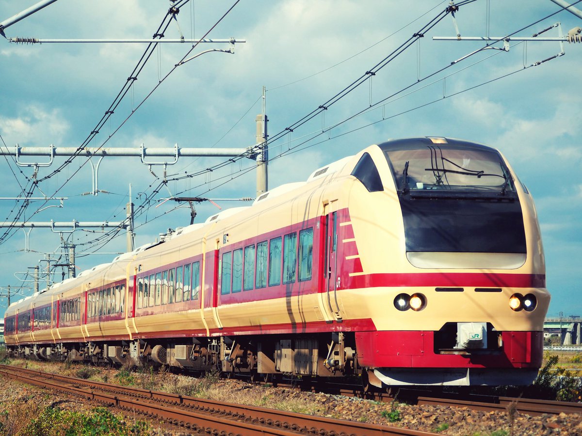 長岡パーイチくん on Twitter: "9078M 本日は特急ときの撮影をしてきました ケツ切れ寸前でした。 #特急とき #E653系"