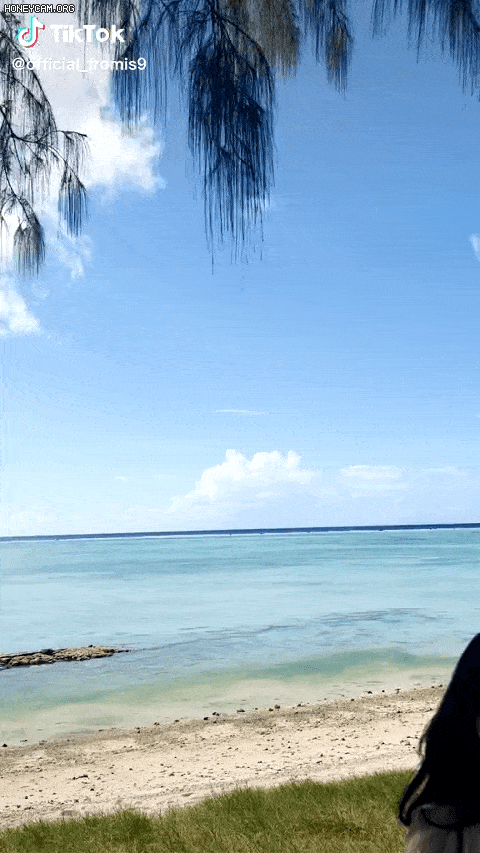 인스티즈(instiz) on Twitter: "여자 손바닥 만한 프로미스나인 이채영 허리.jpgif (링크에 더있어요👉) https://instiz.net/pt/7263086"