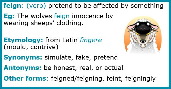 Feint Definition