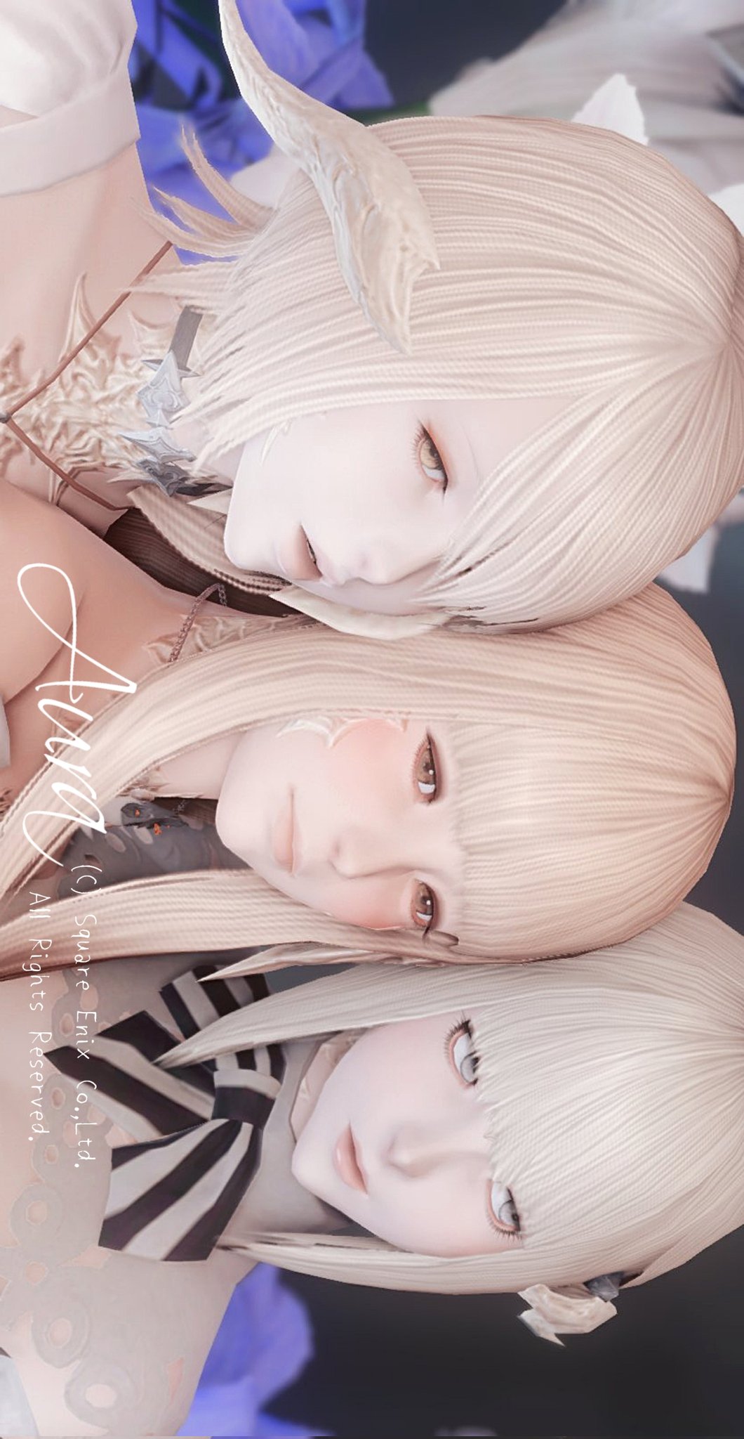 Colo Mori (@Colo_M_FF14) / Twitter