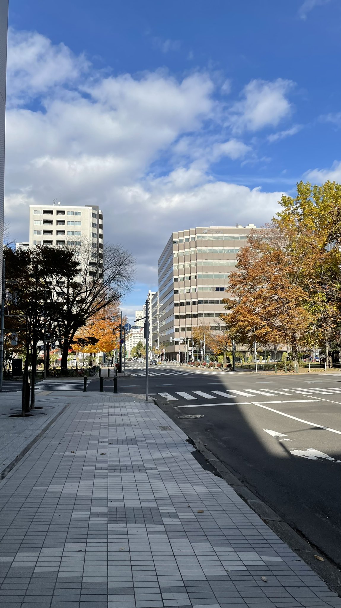 西広ショータ/NISHIHIRO SHOTA on Twitter: "おはよう！荷物をまとめてホテルを出発！ https://t.co/Q4xjFwulOm" / Twitter