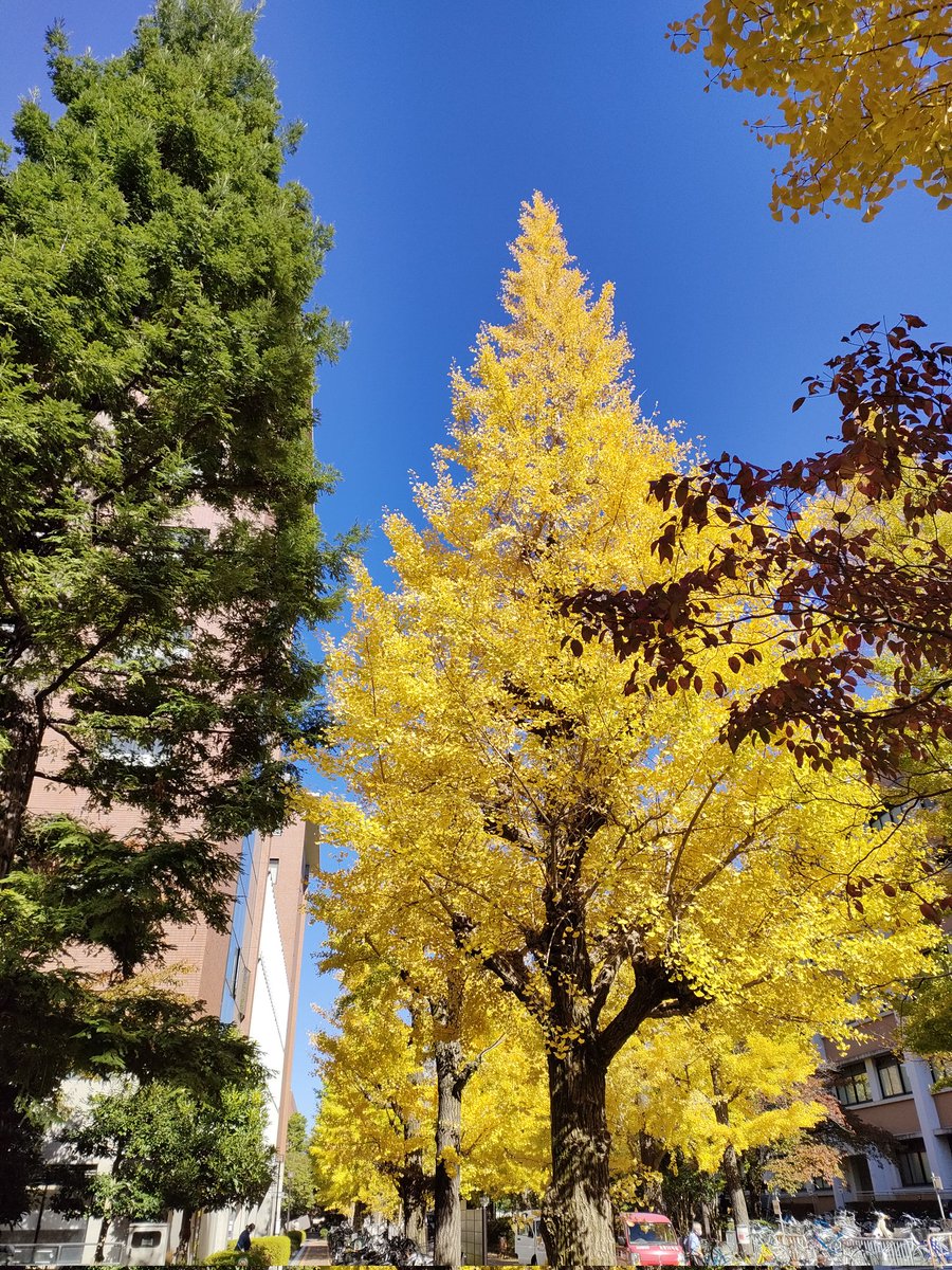 Miki(@toku_ko) - Twilog (ツイログ)