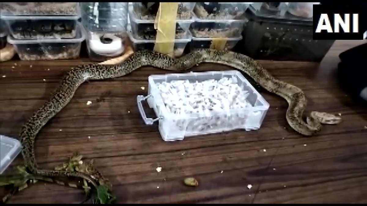 ANI on Twitter: "Jamshedpur, Jharkhand | Woman arrested at Tatanagar Railway Station for ...