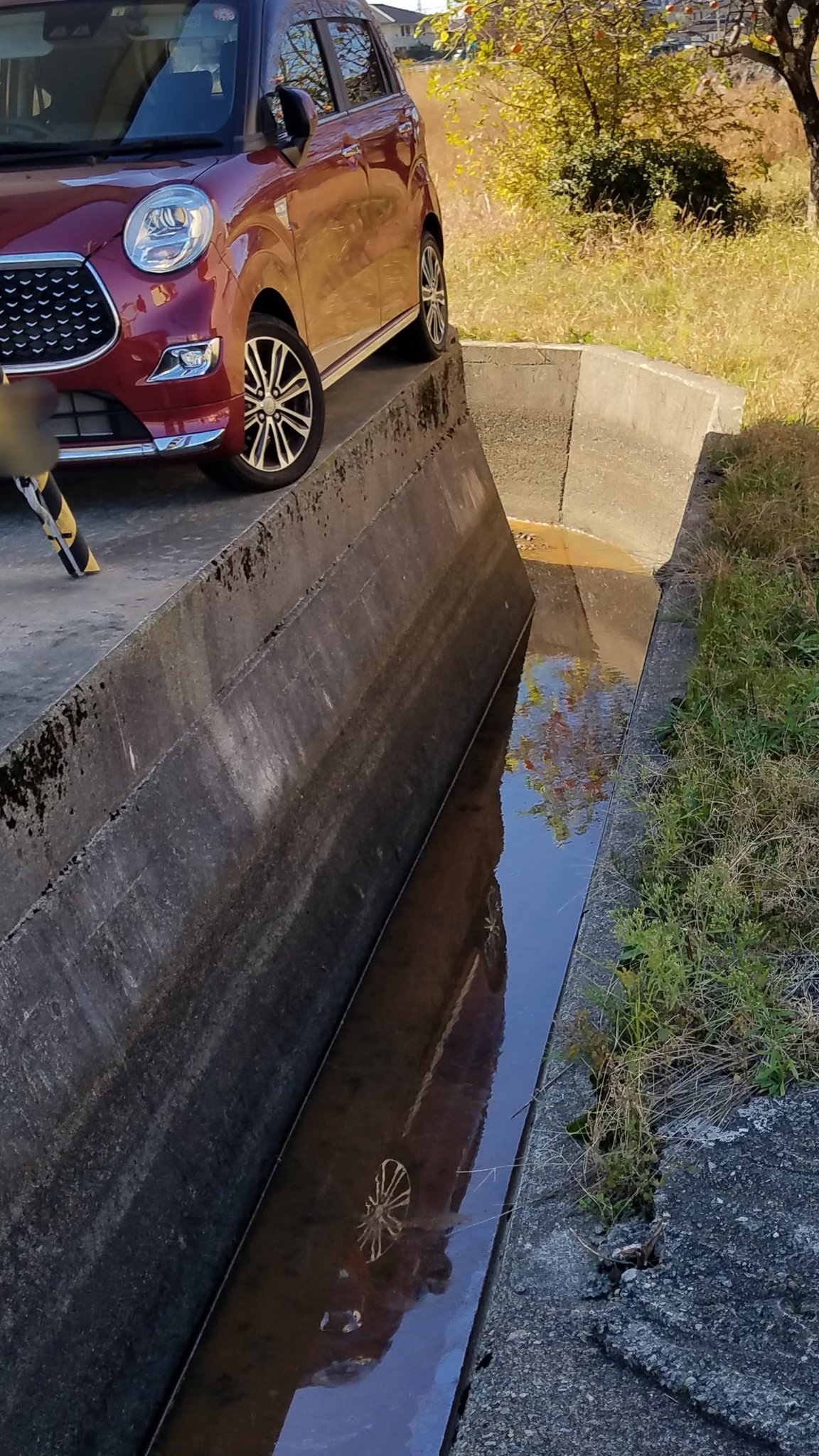 Tweets with replies by ごはんつぶがついています (@suke_tsubu) / Twitter