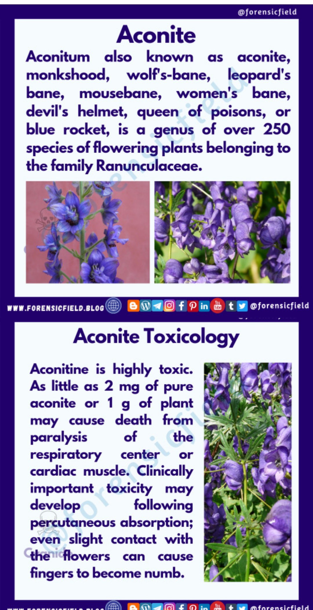 Aconite Poison