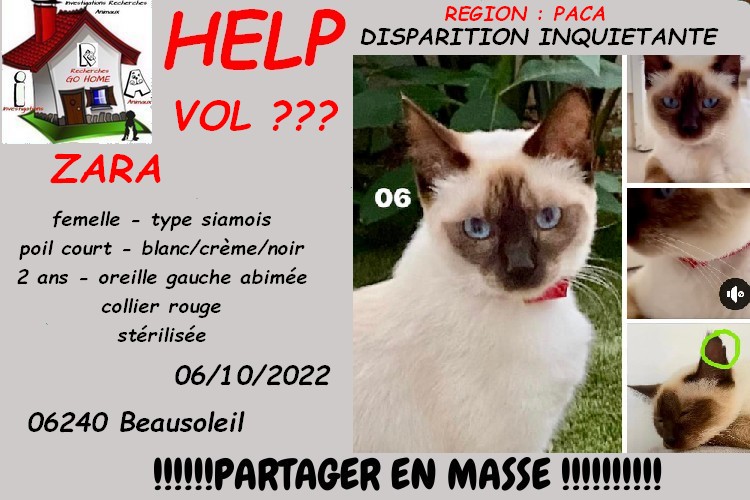 Anne Montarou on Twitter: Anne Montarou on Twitter: