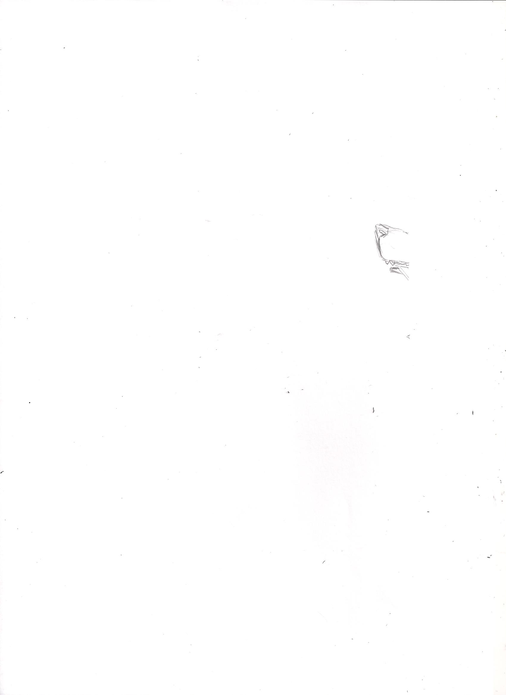 Wolfstride (@wolfstride_game) / Twitter