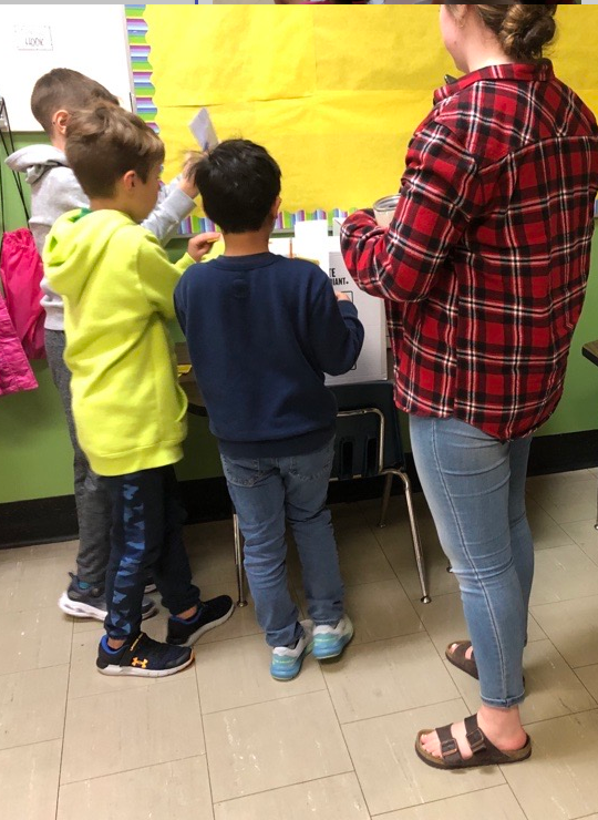 Lord Wolseley School