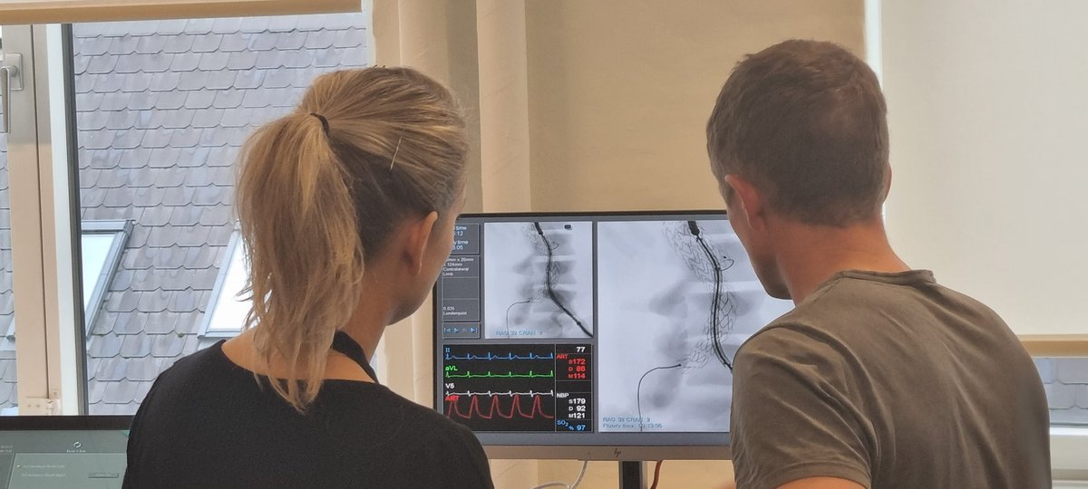 CPH Vascular Research Unit on Twitter: "The first ENHANCE EVAR Simulation program. Get certified ...