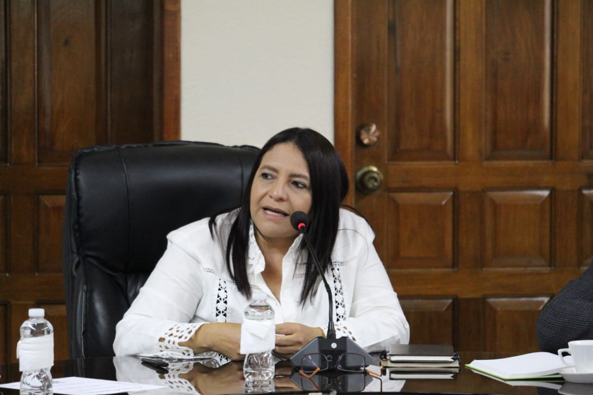 Honduras sostenible-GIZ on Twitter: "La ministra, Laura Suazo, explicó los principios y la ruta ...