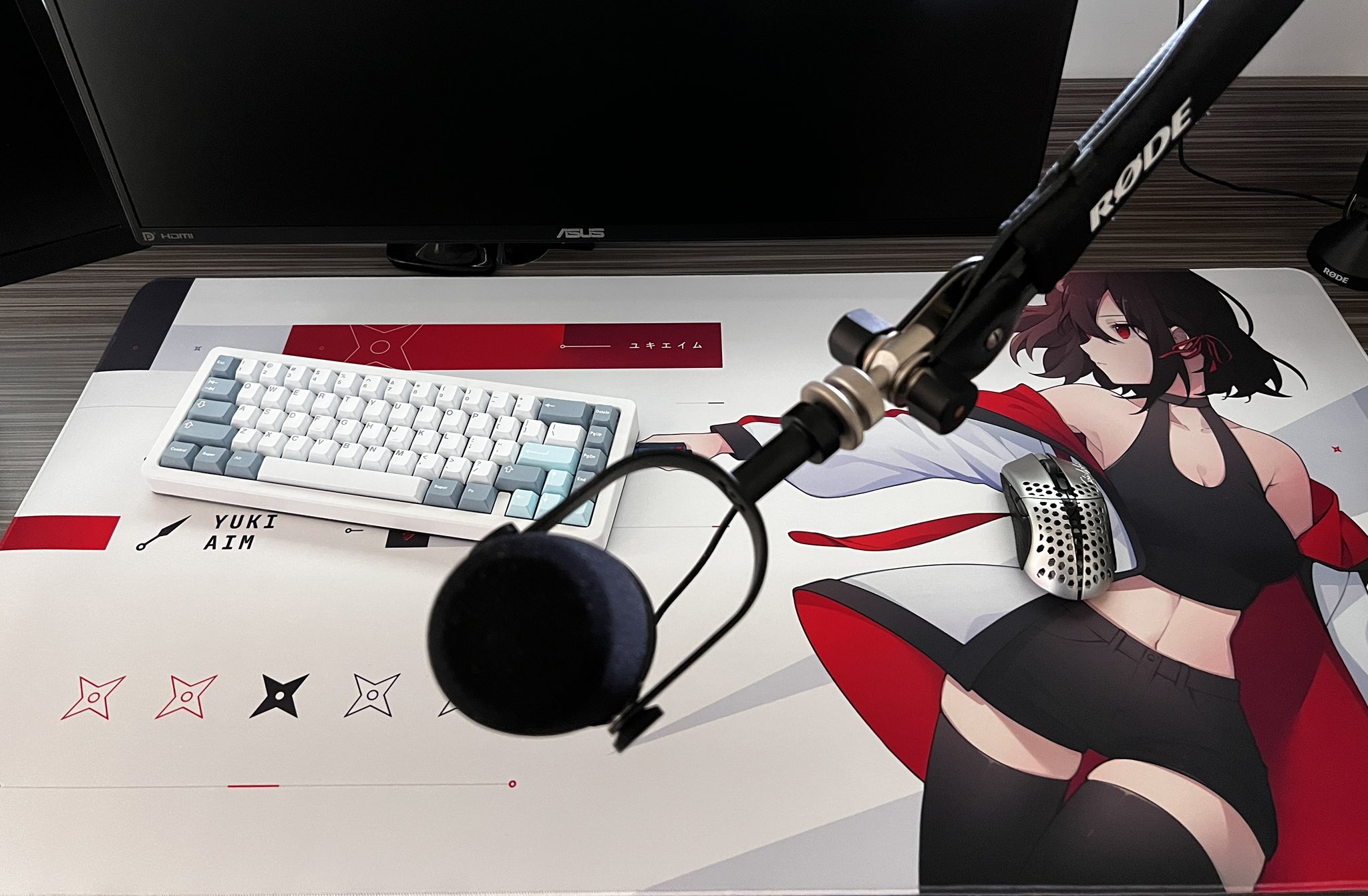 Nerd2k on Twitter: "@Gamesense_gg x @YukiAim Can’t wait to try this out~! Previously maimed the ...