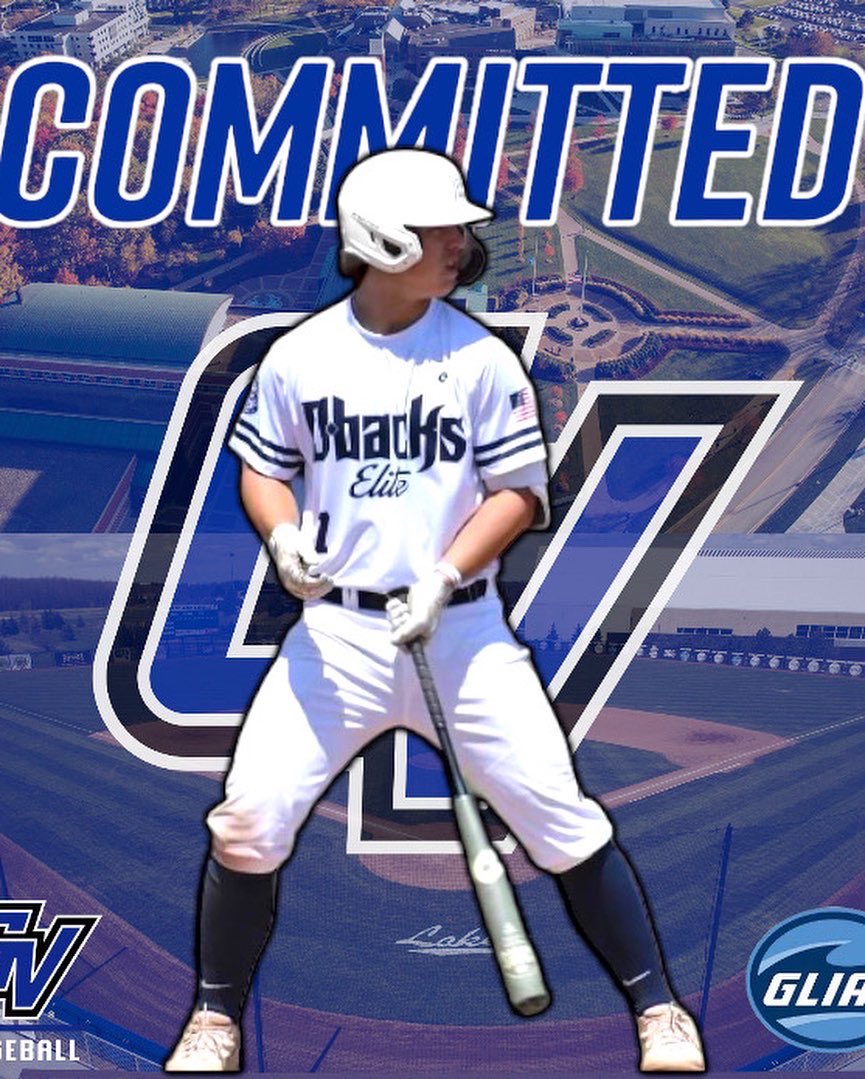 Vincent Name Wallpaper