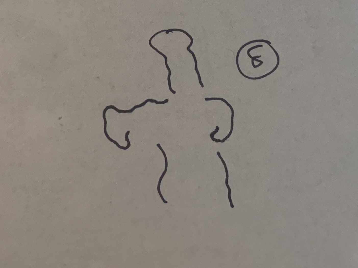 Solid JJ on Twitter: "https://t.co/3iYM2uiTOB" / Twitter