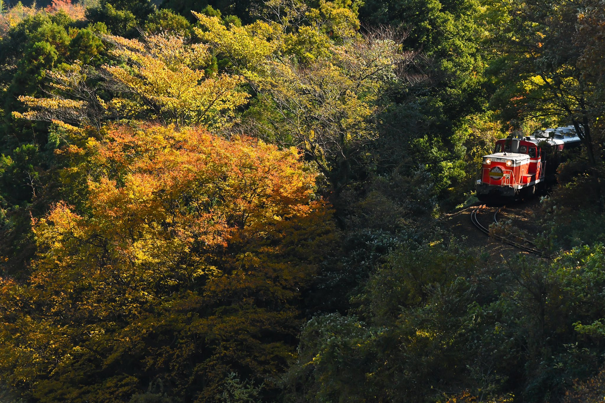 隠居鉄takedon (@takedon999) / Twitter