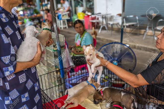 CORONA VIRUS NI KAZI YA MAABARA? WHY CHINA? .......1978 KUELEKEA 80 ...