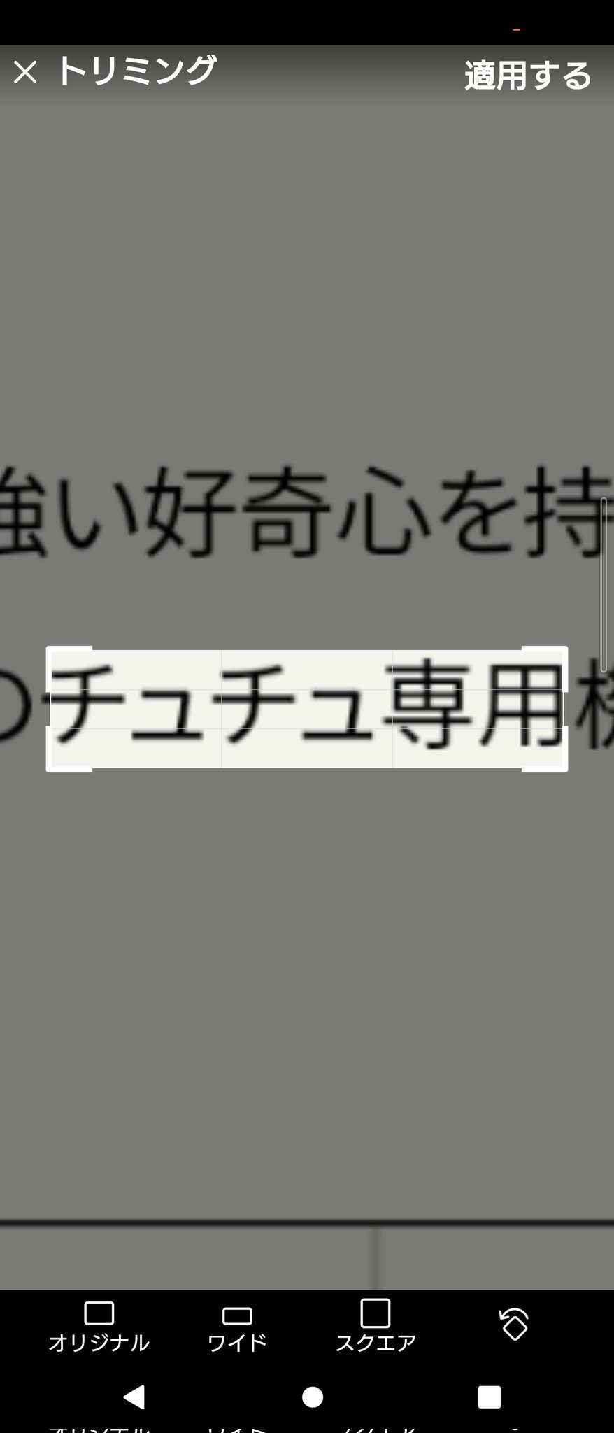 いんでぃご on Twitter: "@Ninjamaster_73 ホントだったんだ… https://t.co/vh0bJqjjrP" / Twitter