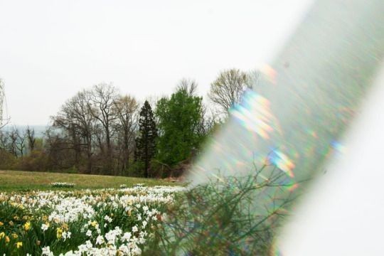 naa🌱 on Twitter: "https://shope.ee/4APSiJ8f1r"