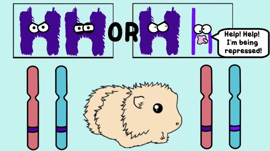 Science diagrams that look like shit posts - centcampus