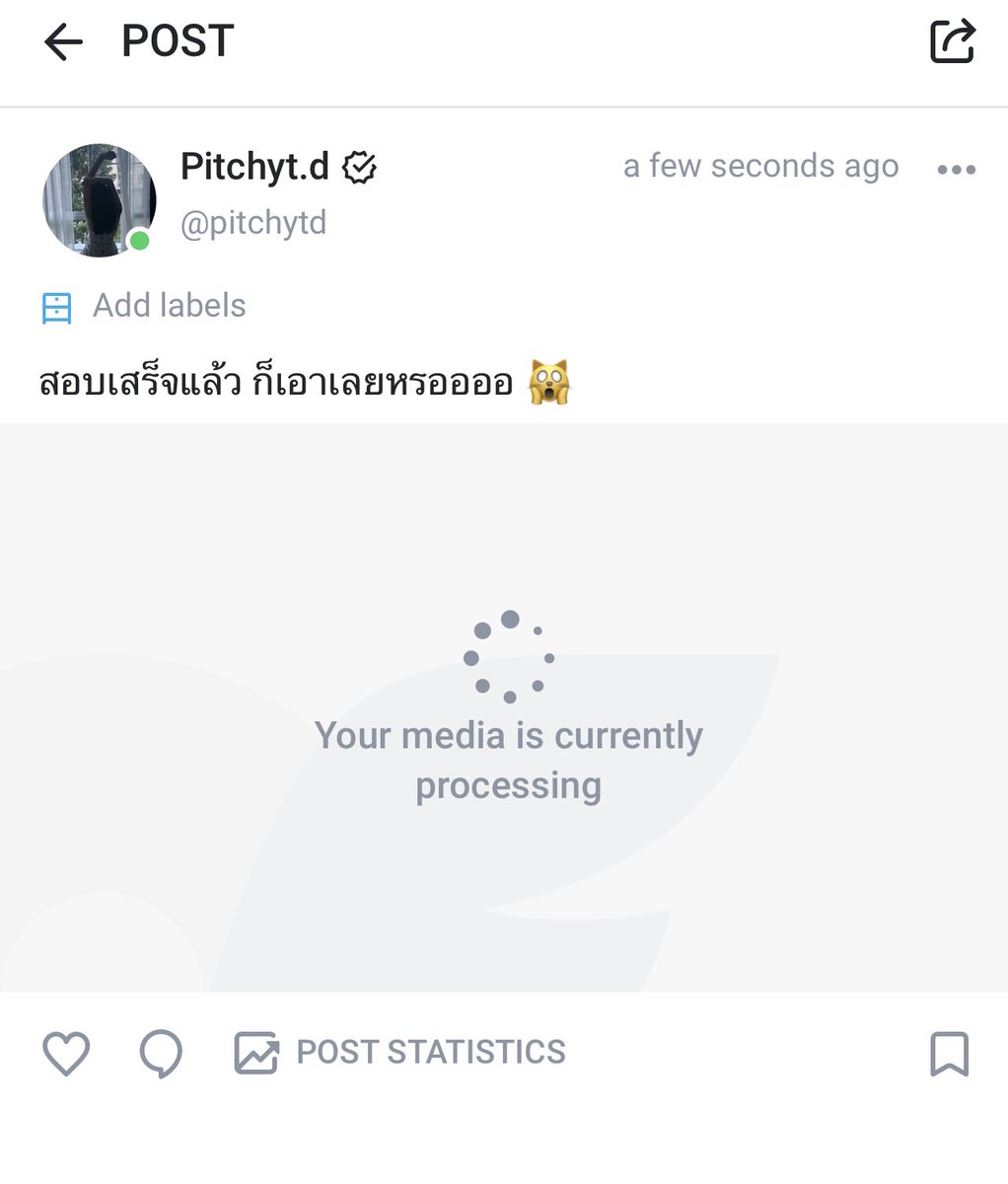 Pitchy 🍑 มีแอคเดียวเด้อจ้า 🐰 on Twitter: "แกเกินปุยมุ้ย https://onlyfans.com/pitchytd"