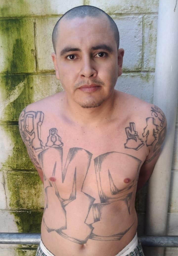 Noticiero El Salvador 馃嚫馃嚮 on Twitter: Noticiero El Salvador 馃嚫馃嚮 on Twitter: