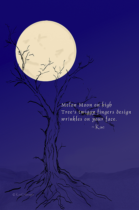 Haiku Poem With Illustration