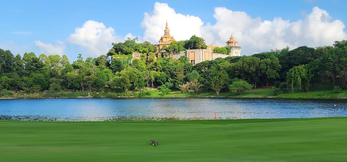 POGO – POGO Turf Pro