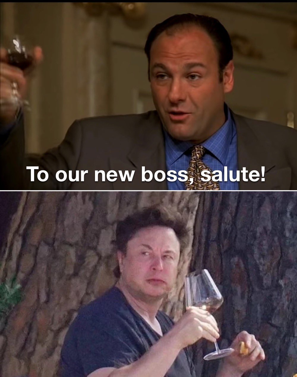 Salute Meme